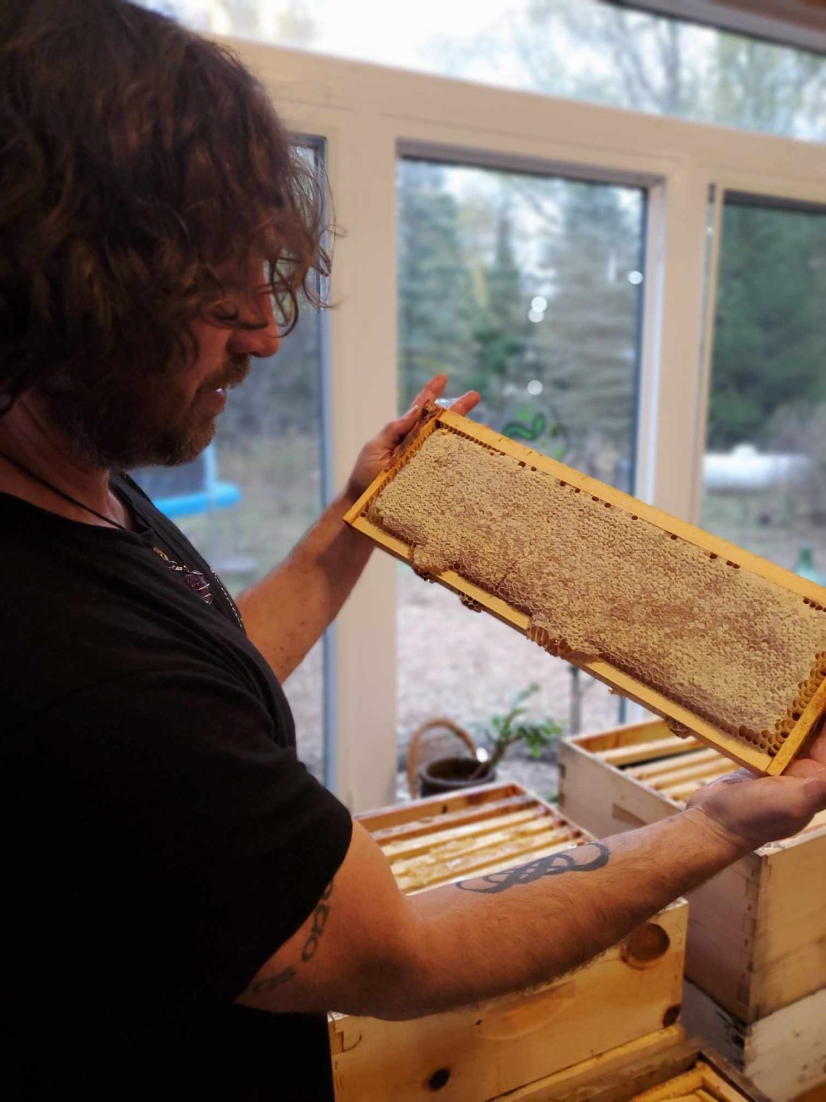 A Sweet E-commerce Journey: Good Rising Honey’s Digital Transformation ...