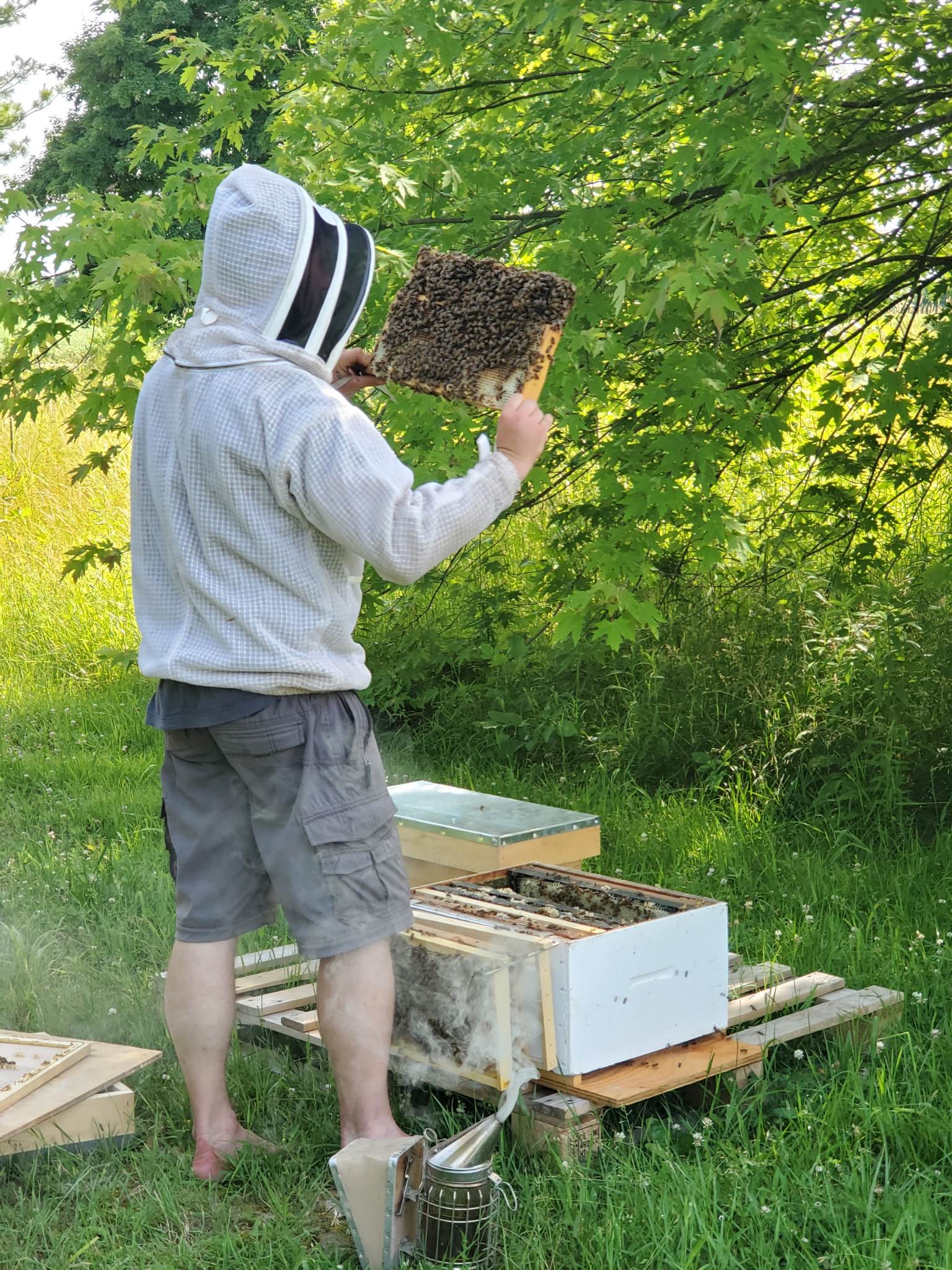 A Sweet E-commerce Journey: Good Rising Honey’s Digital Transformation ...